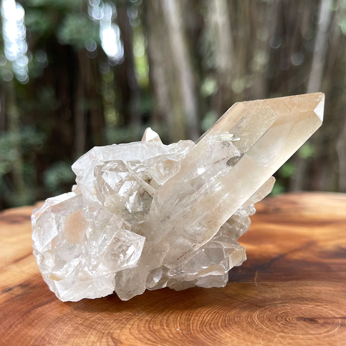 Golden Healer Crystal / Rare – Crystal Dew Stones